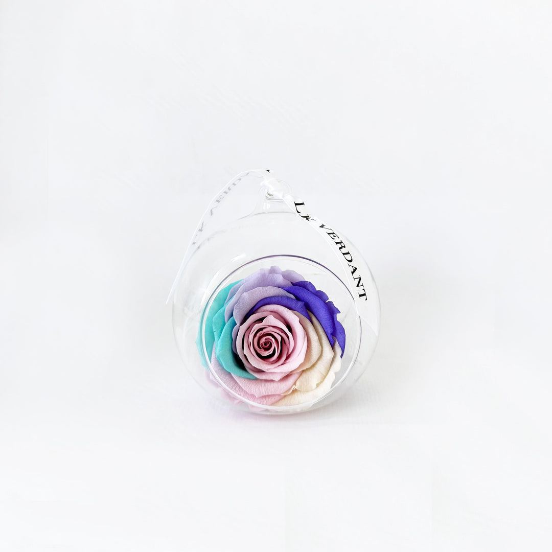The Always Pastel Rainbow Rose | Luxury Roses | LK VERDANT